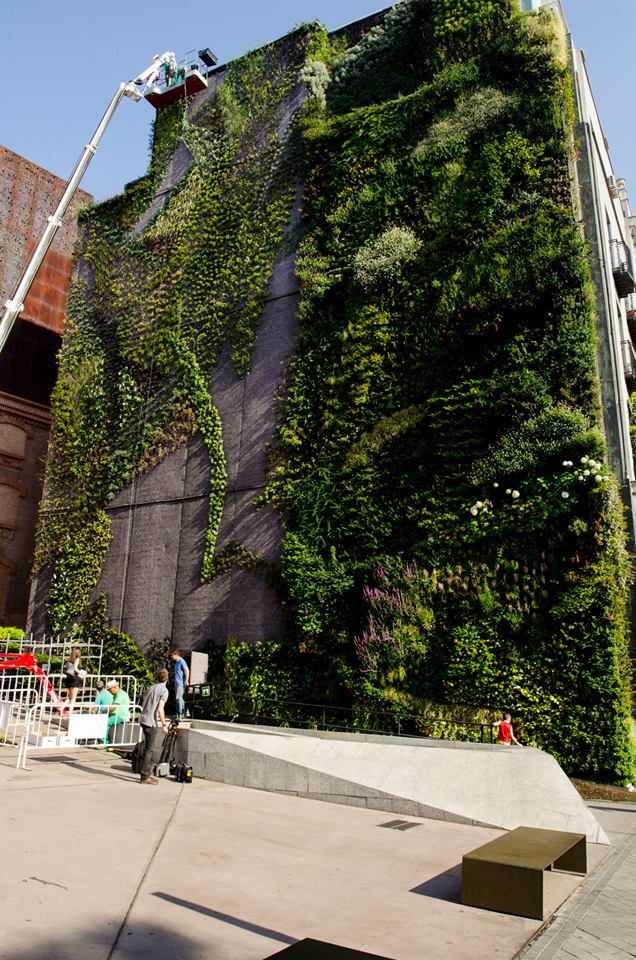 Living wall | obsidianmirrorblog